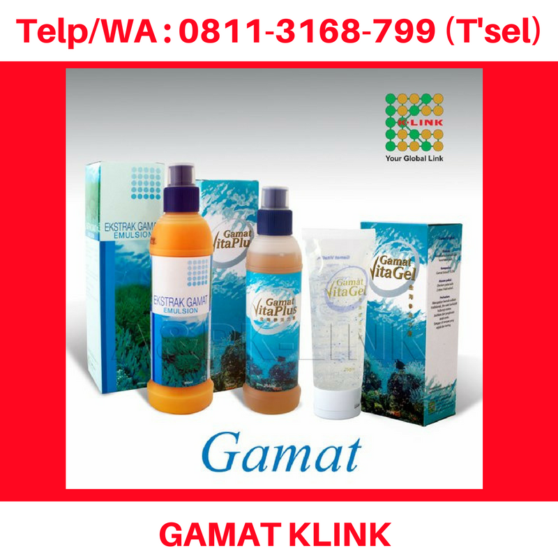 0811-3168-799 (T'Sel), K Link Gamat Gel: 0811-3168-799 (T'Sel), K Link ...