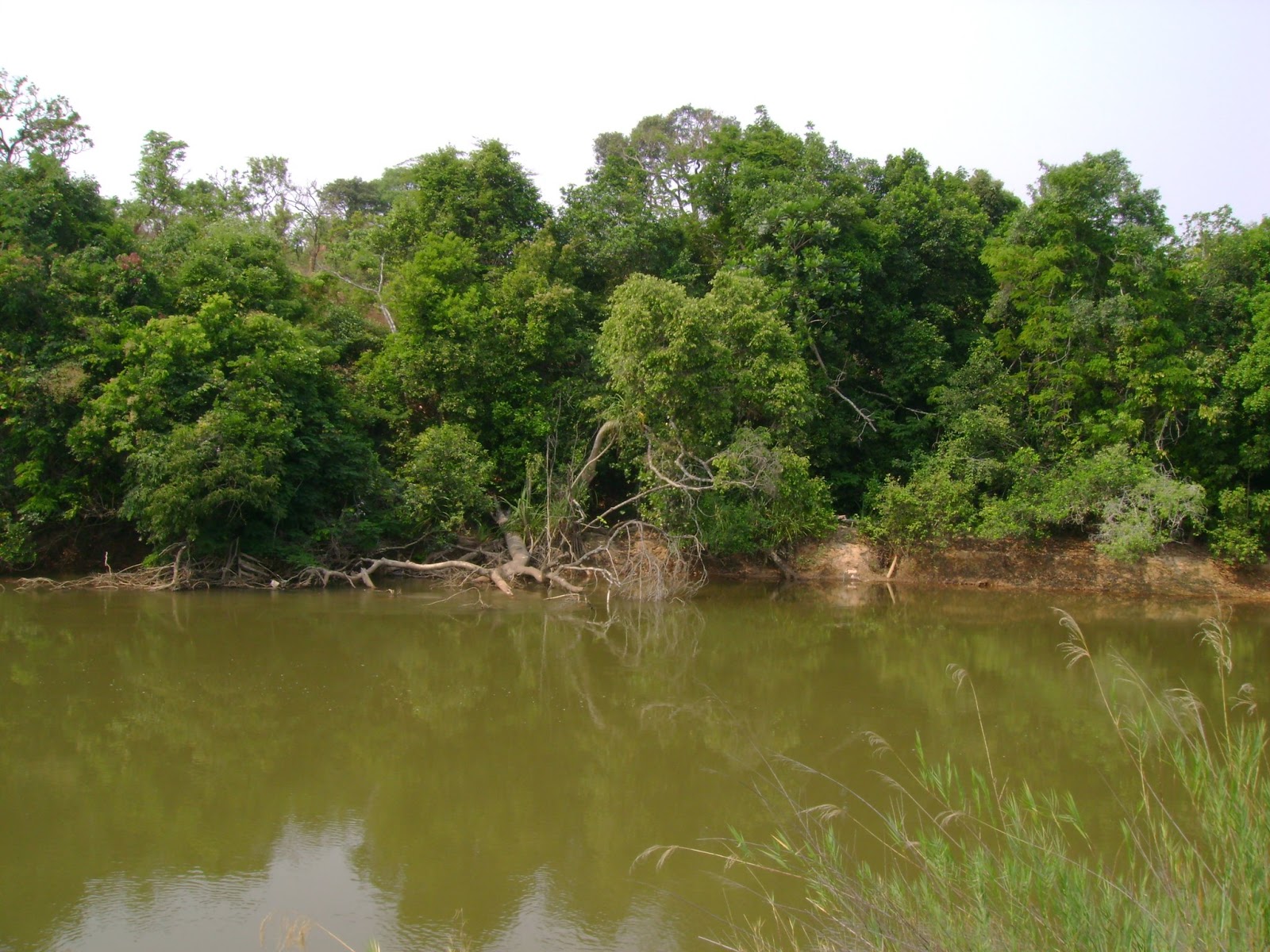 Provincias de Angola: 2017