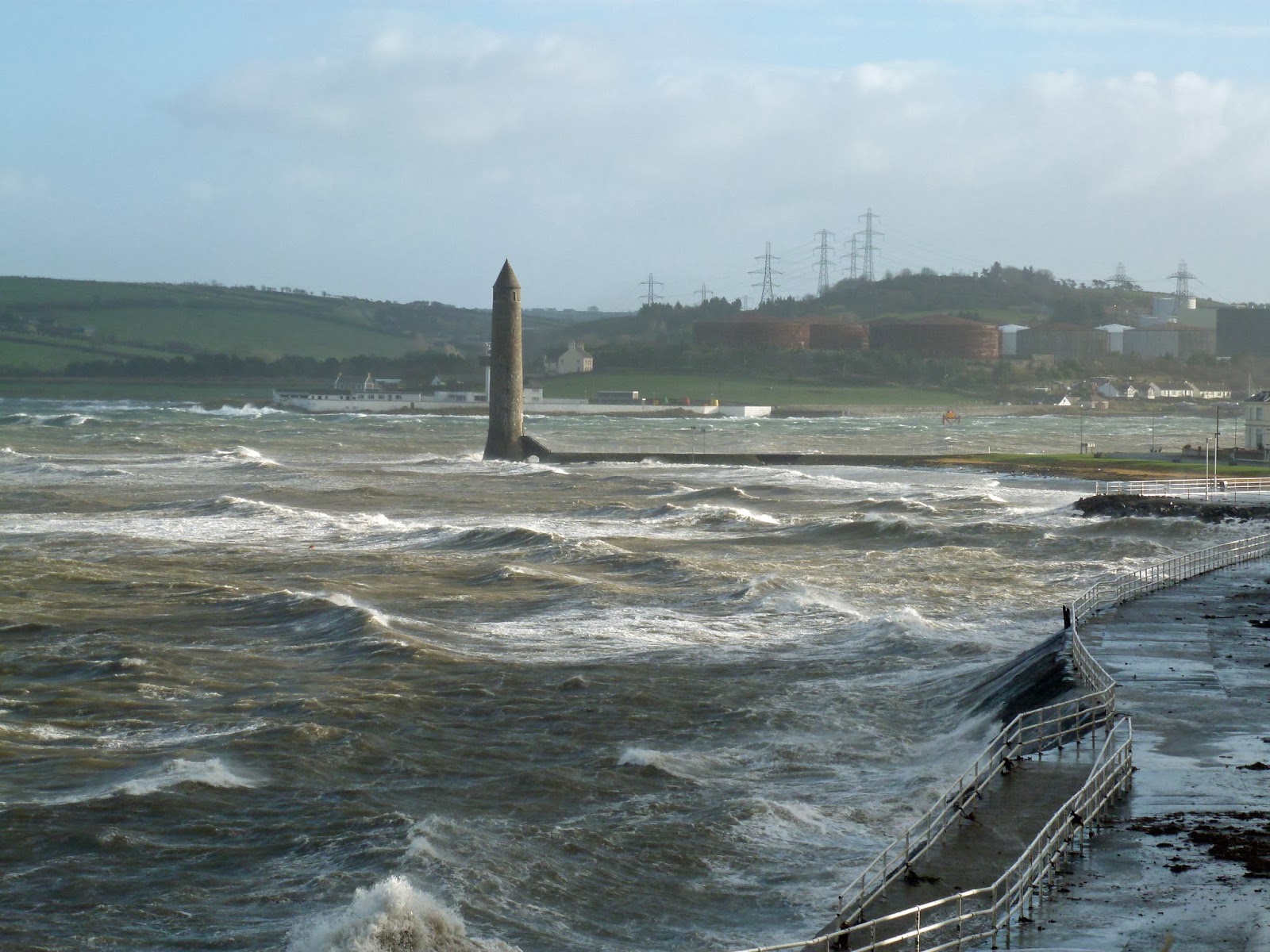 Patch Birding Ireland: Larne Lough