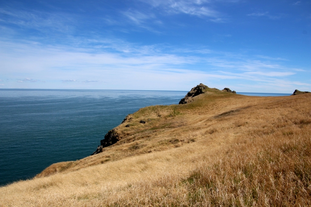 each day an adventure in alaska: around Round Island...
