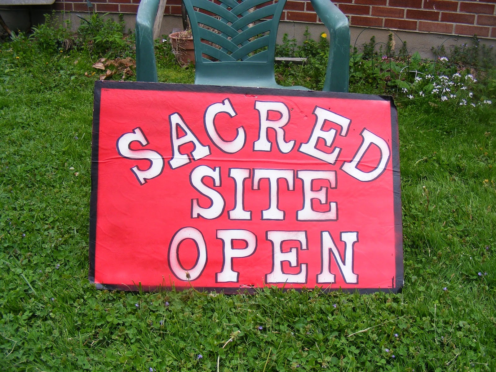 RockyCat: Freaky Friday: Signage