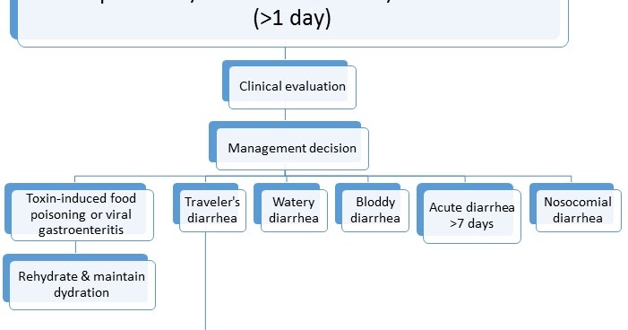 Hospital Student: ACUTE DIARRHEA IN ADULT - INFECTIOUS