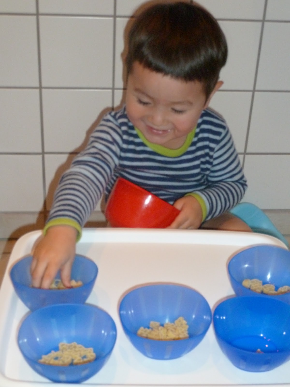 Family FECS: Montessori Activity: Sorting Animal-Shaped Pasta
