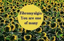 Smart Fibro Chick: How many people have fibromyalgia and ME/CFS anyway?
