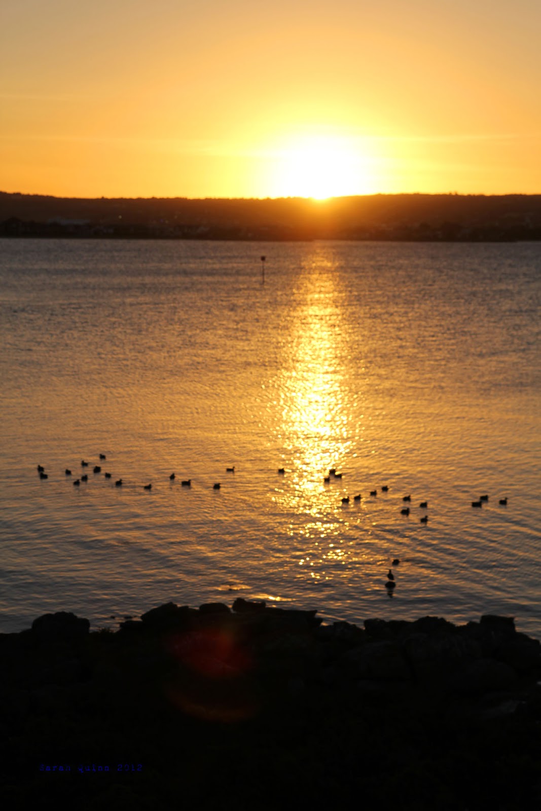 Discovering The Eyre Peninsula