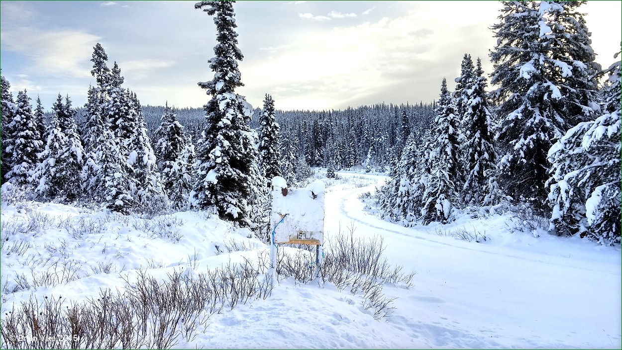 Northern Interior British Columbia: Winter Scene - The Equity Silver ...