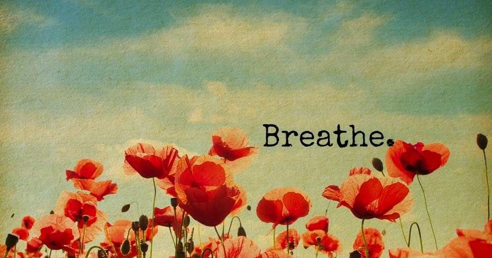 Every Day A New Beginning Tuesdays At Forty Breathing A Little Easier every-day-a-new-beginning-tuesdays-at-forty-breathing-a-little-easier