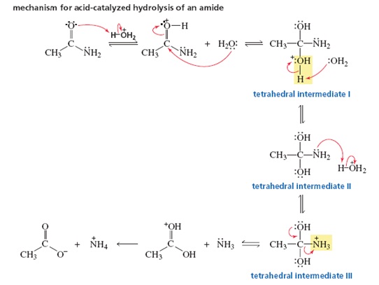 DEFI NOFITA PANCA SARI: AMIDA