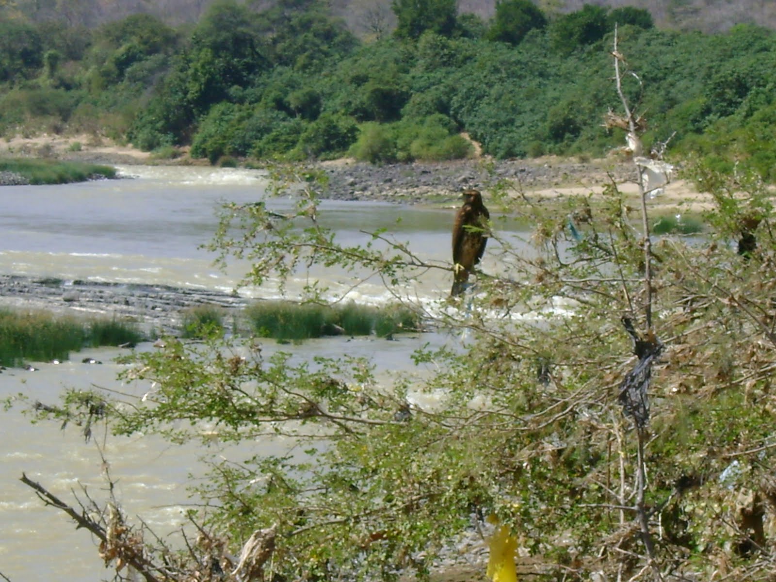 Disfruta de la flora y fauna de la Reserva Nacional de Tumbes - Mi Ruta ...