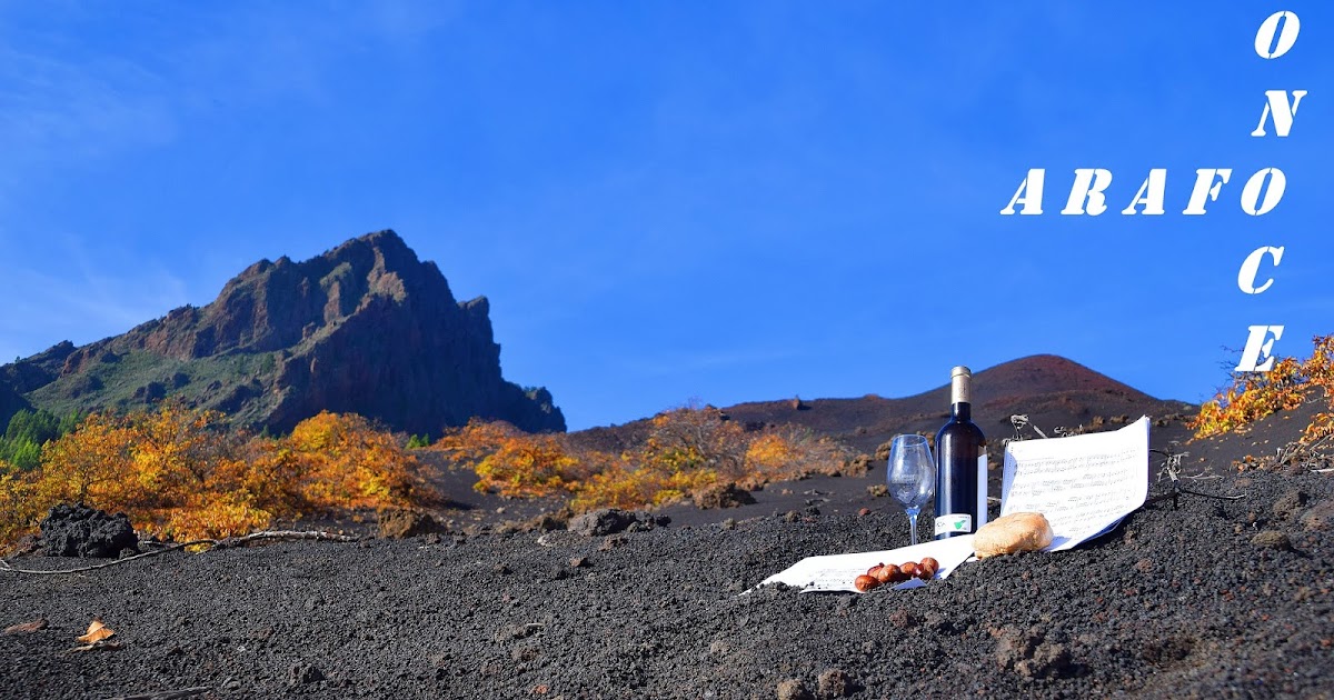 CONOCE ARAFO: SEÑAS DE IDENTIDAD DE ARAFO