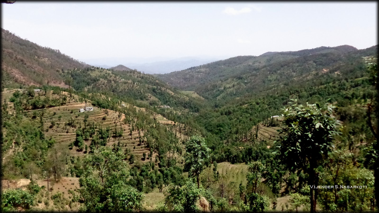 Uttarakhand Tourism: Dwarahat Dunagiri & Pandavkholi Photos