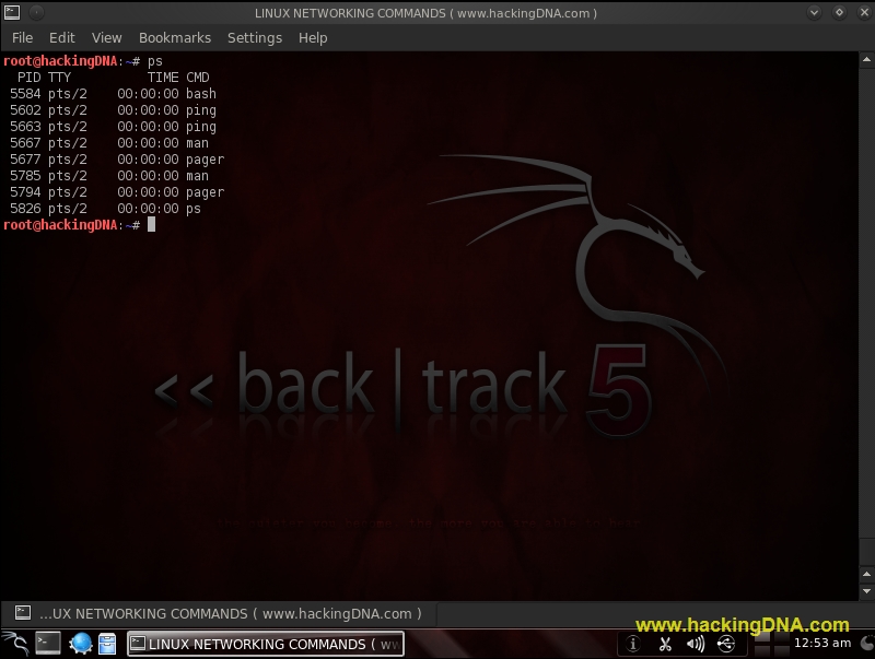 Hackingdna Linux Networking Commands On Backtrack 5