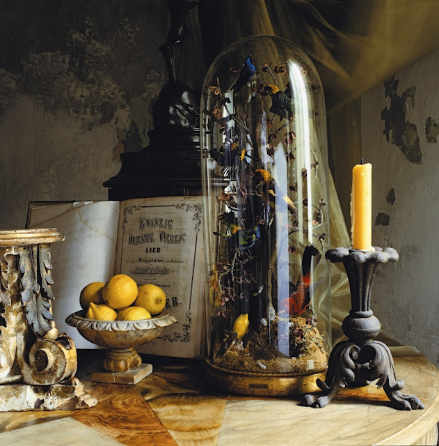 Eye For Design: Decorating Under Glass With Cloches And Domes