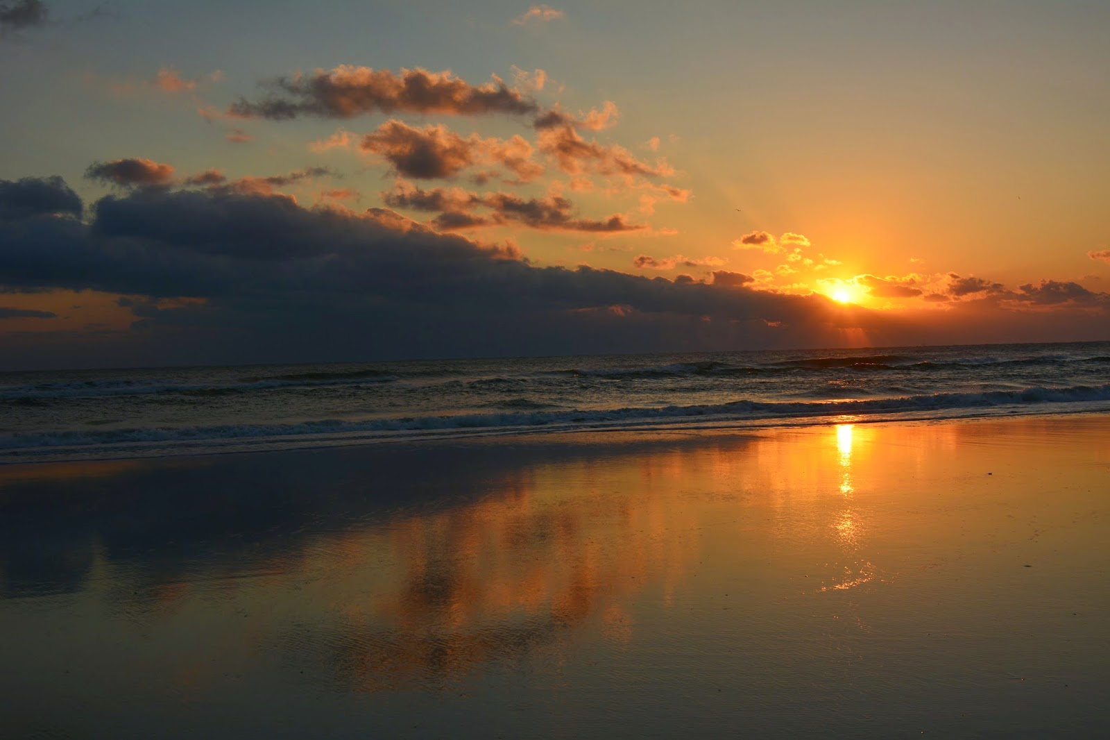 PL Fallin Photography: A Chilly First Day of November