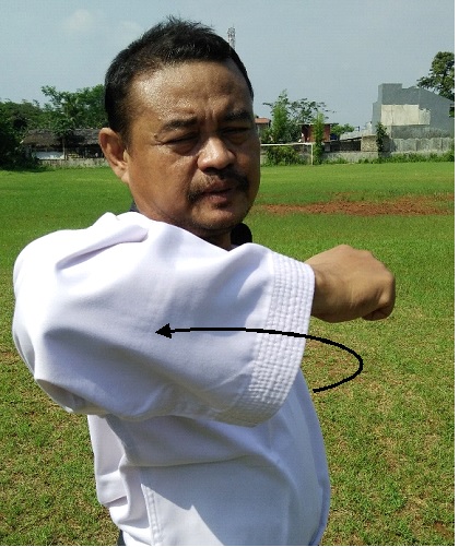 PS. Garuda Jisai: TEKNIK DASAR-PUKULAN DAN SIKUTAN