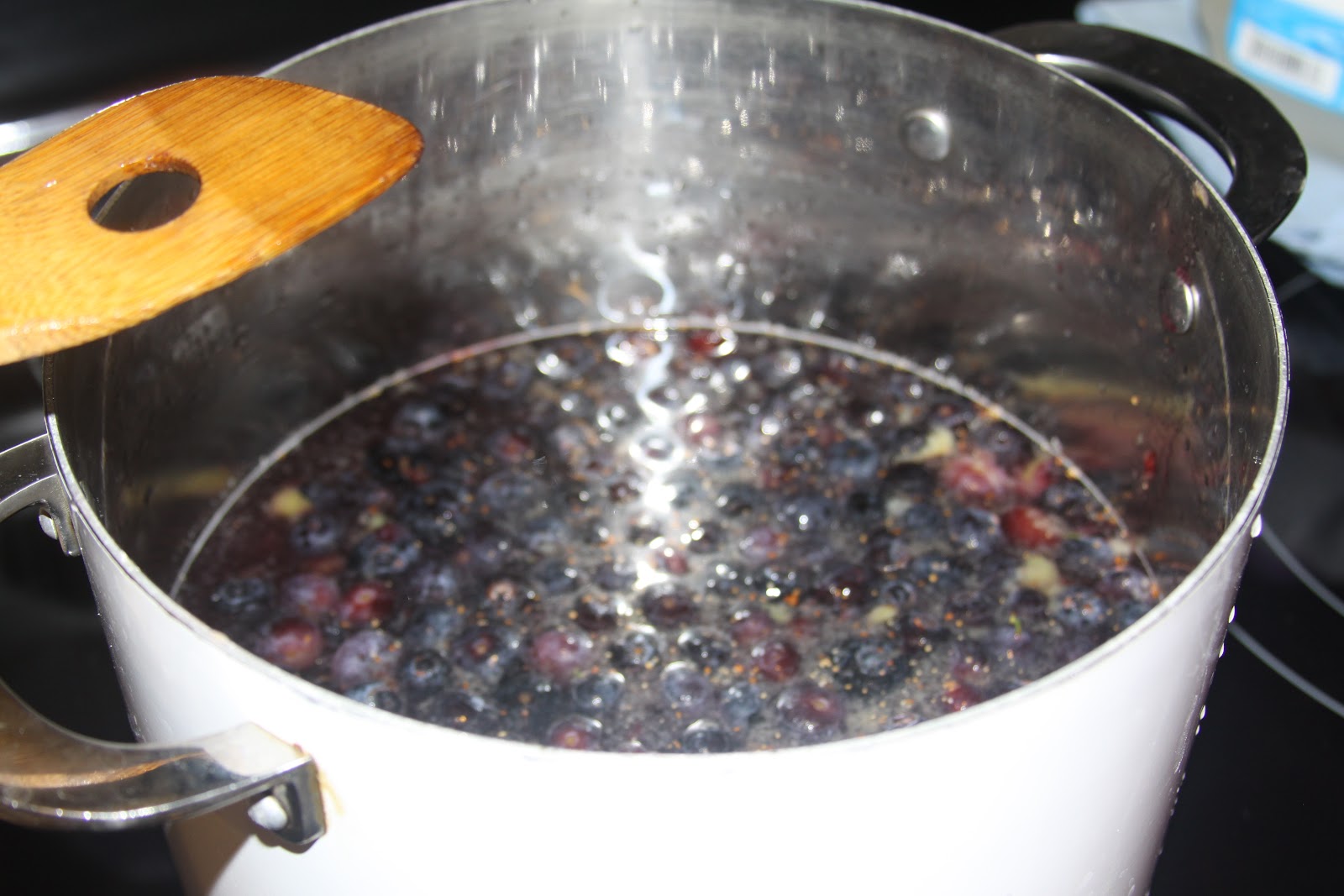 The Homemade Housewife: Homemade, Naturally Fermented Soda