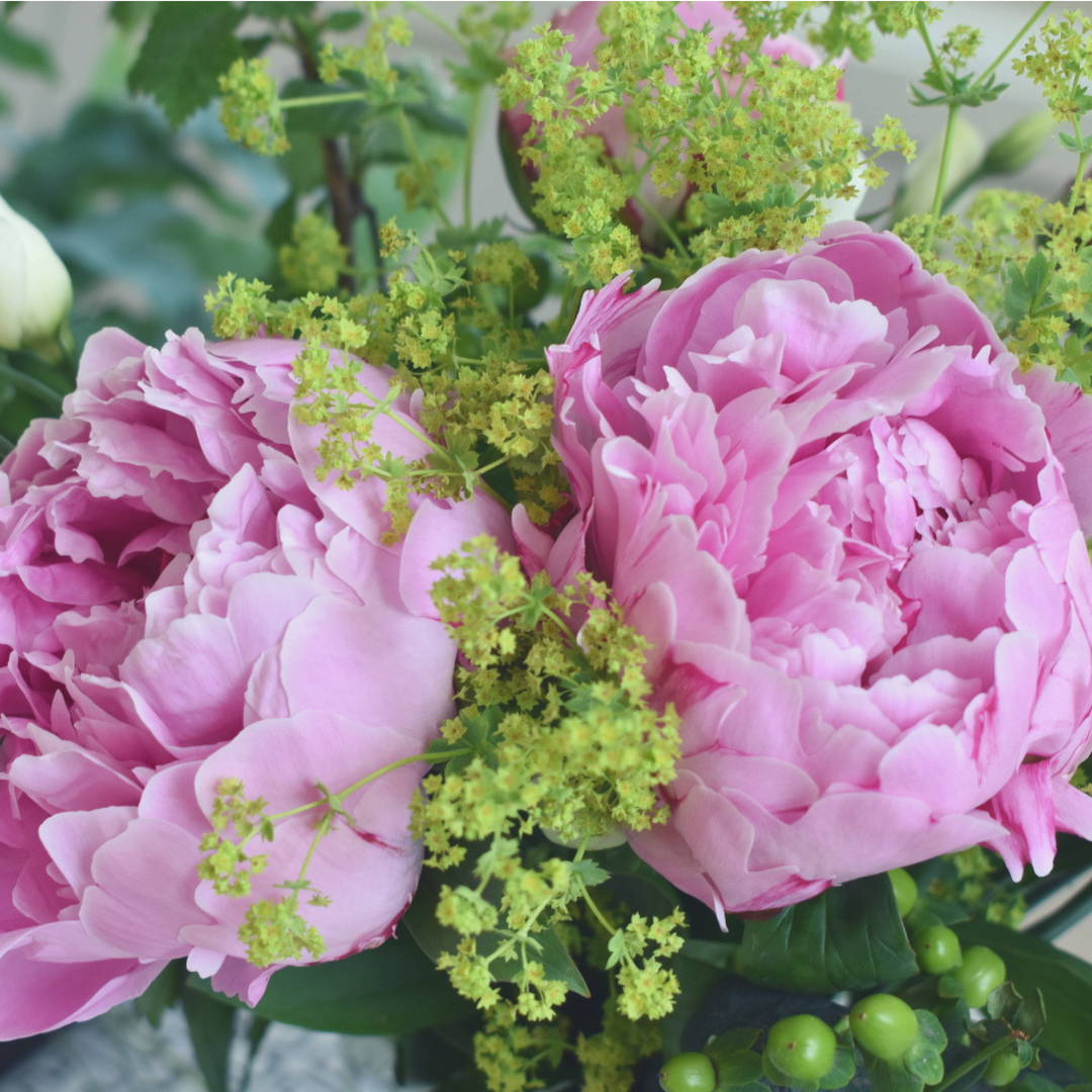 Inkalilja Love: Puutarhan aakkoset - osa 2