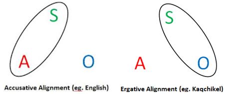 Linguatemala: A Dip into Syntax: Ergativity