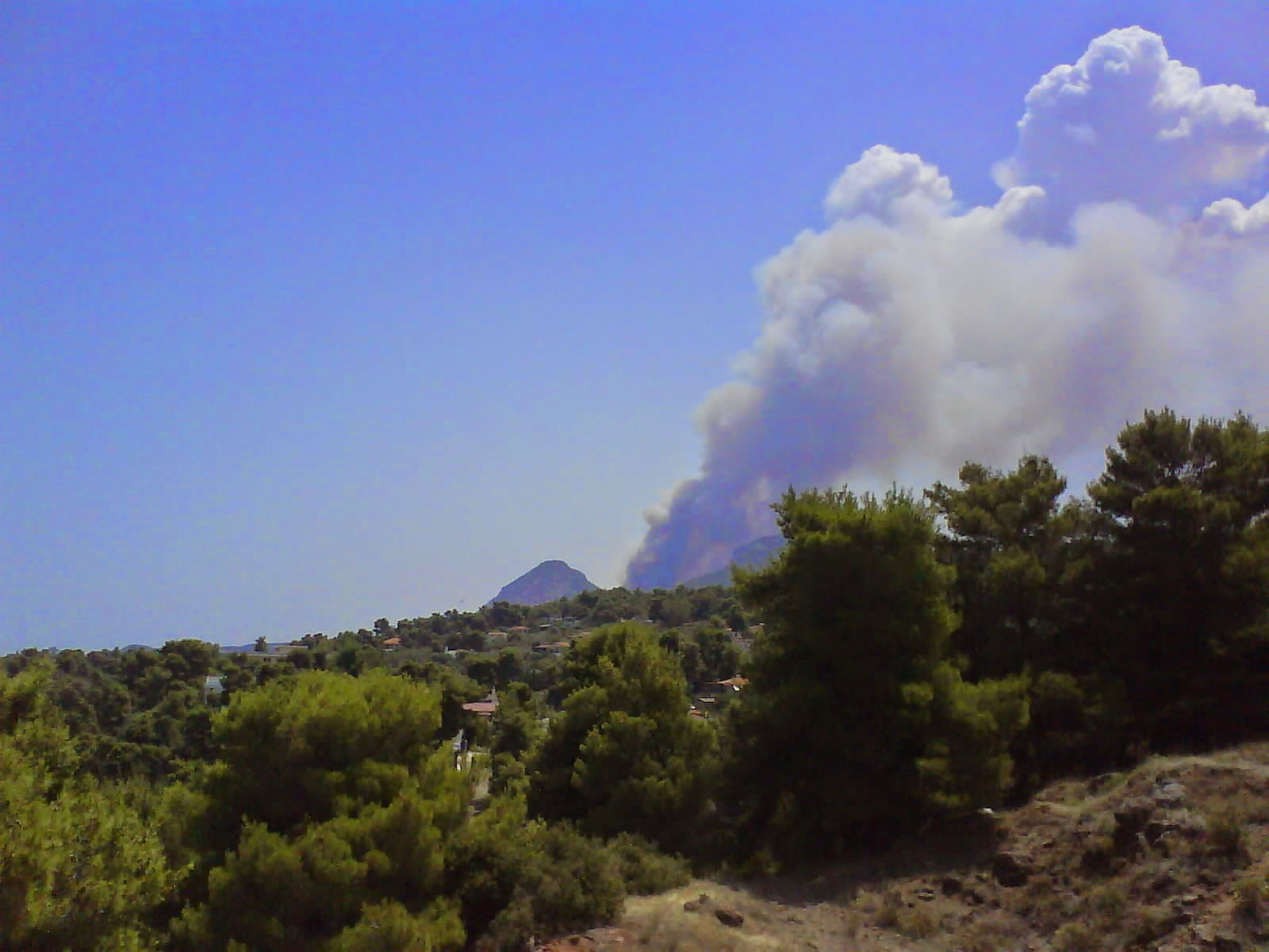 Η ΙΣΤΟΣΕΛΙΔΑ ΤΩΝ ΑΓΙΩΝ ΑΠΟΣΤΟΛΩΝ: ΦΩΤΙΑ ΕΚΔΗΛΩΘΗΚΕ ΤΙΣ ΠΡΩΤΕΣ ...