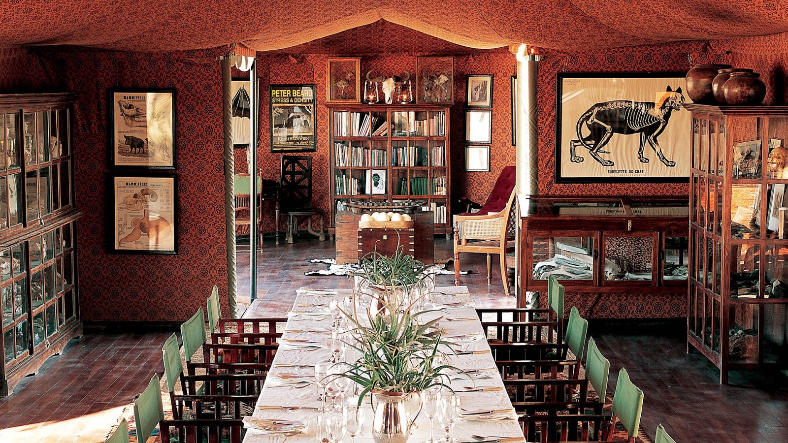 Dioramas and Clever Things: Step into Colonial Africa