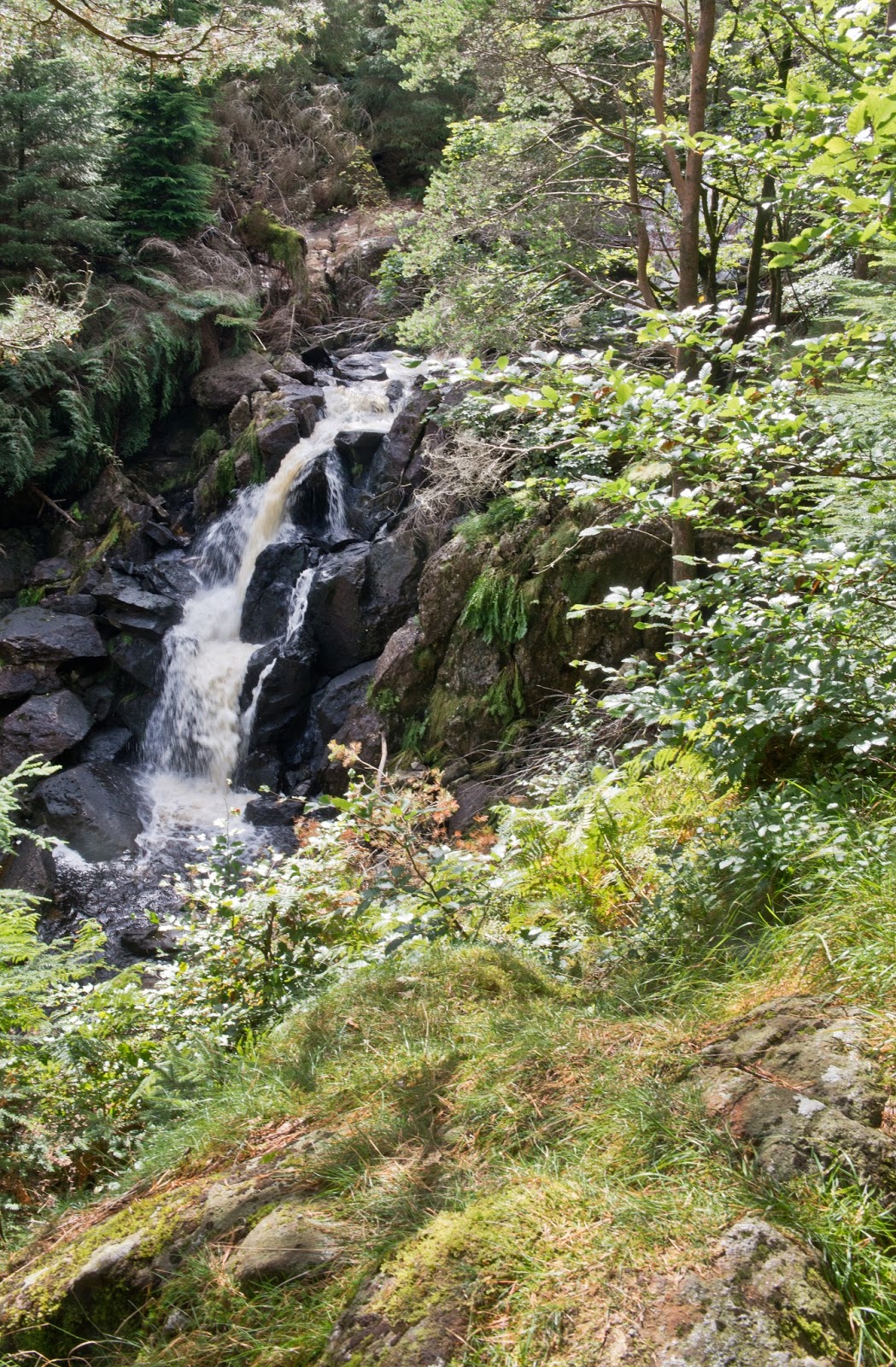 Wigtwizzle - Norman Smith's Travel Blog.: Harrop Tarn and Thirlmere