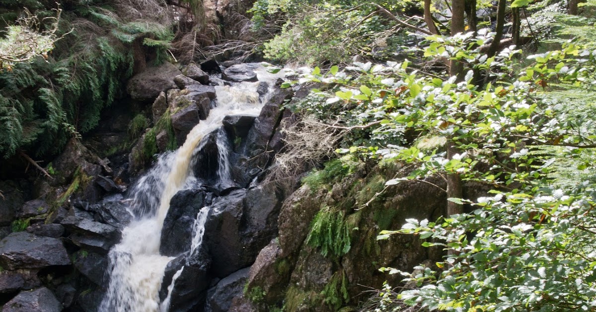Wigtwizzle - Norman Smith's Travel Blog.: Harrop Tarn and Thirlmere