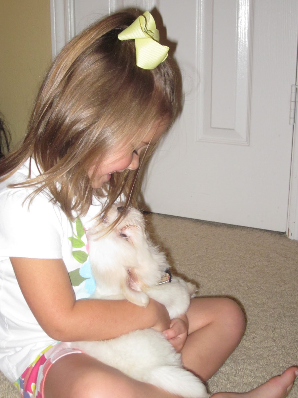 Poppy Popsicle Recipe | Mix and Match Mama