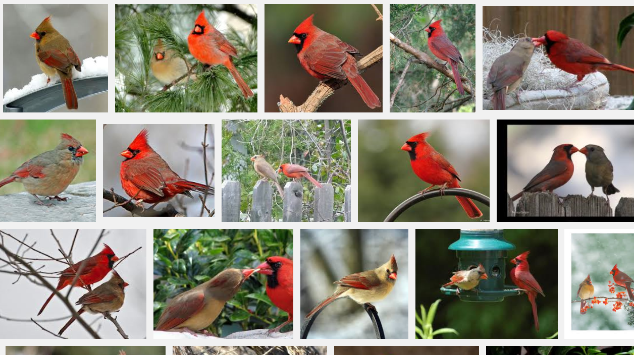 My BetweenTimes...: The life of Cardinal