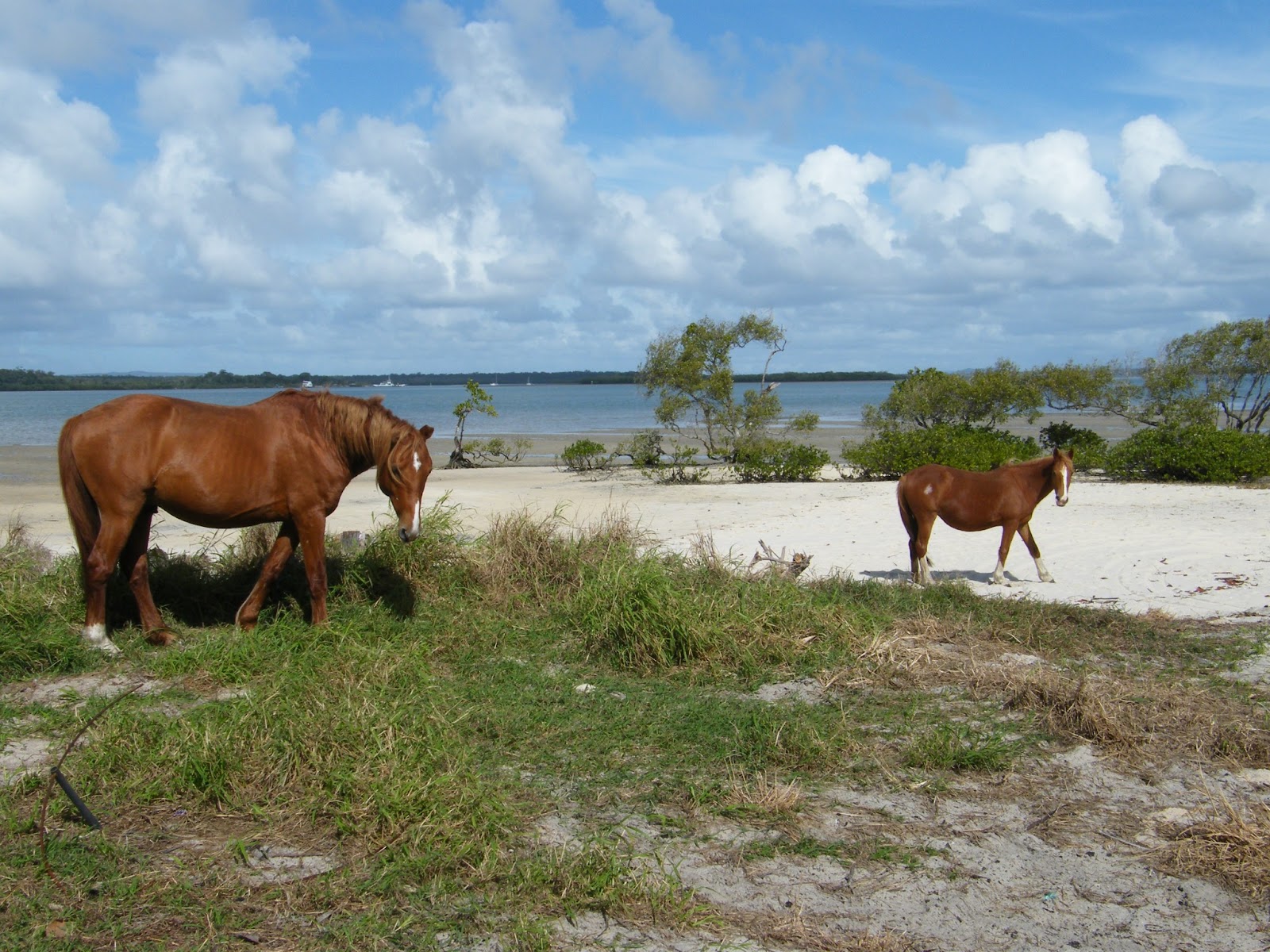 BJ and Noelle Travel Oz : Boondooma Dam - Inskip Point Queensland