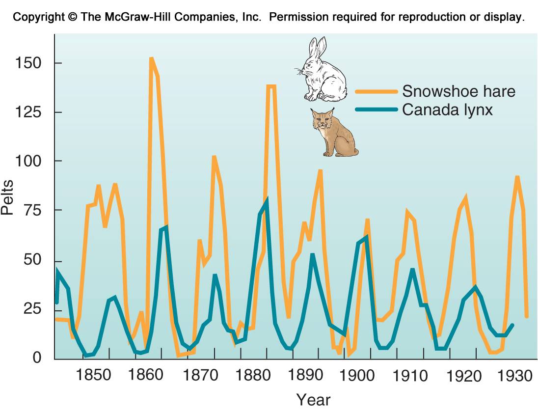 Citadel: February 2012