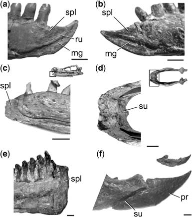 Waxing Paleontological: Hopeful Dinosaurs - Updated!