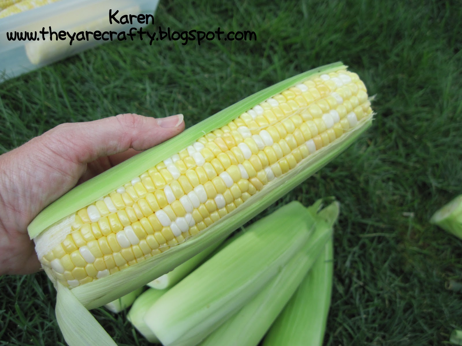 They Are Crafty: Freezer Corn