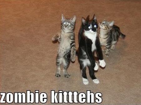 The Invasion Of the Zombie Cats Story | Super Meow Meow