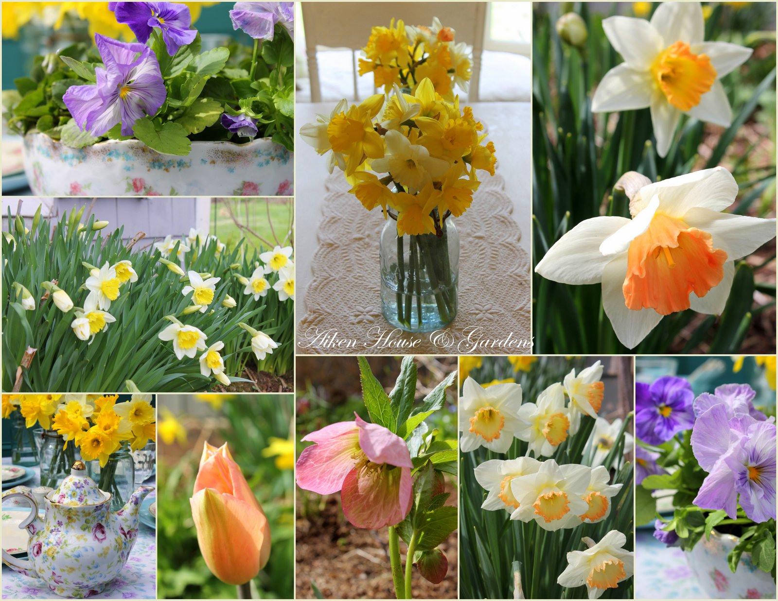 Aiken House & Gardens: Early Spring Garden