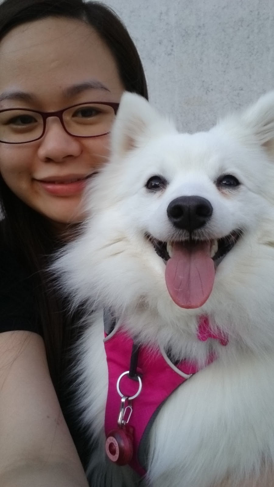 jasminetay.blogspot.com: Benji & Coco!