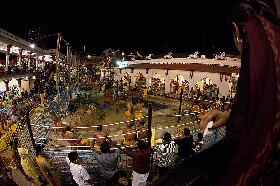 postcards from singapore: theemithi : hindu fire walking festival