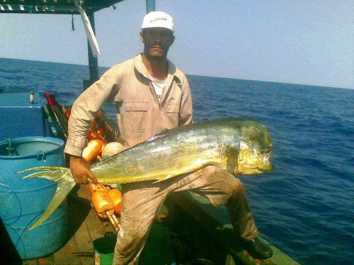 Delivery Pescados: Conheça o Peixe Dourado-Mar