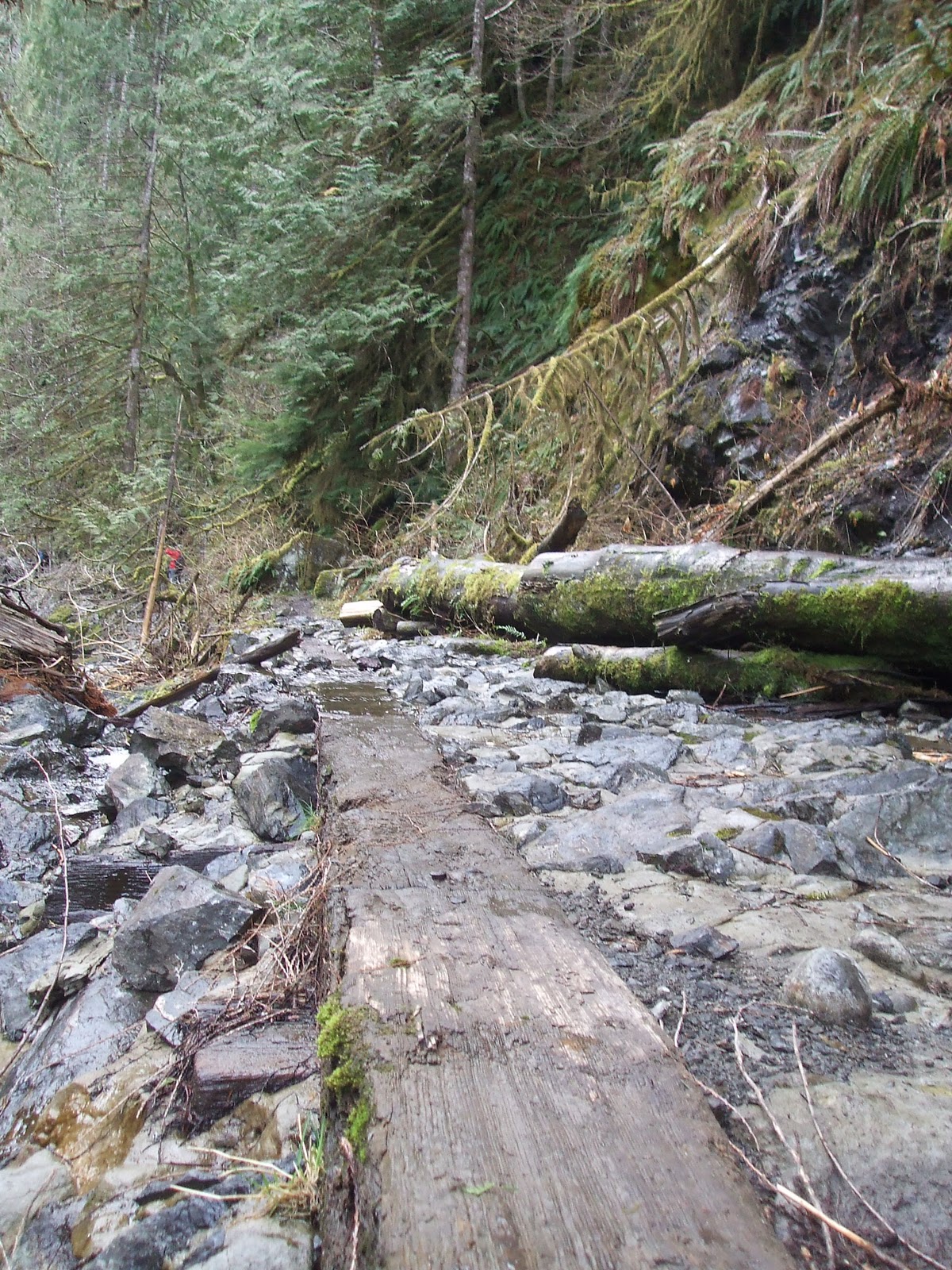 A Homeschool Mom's Hiking Blog: Old Robe Canyon Trail