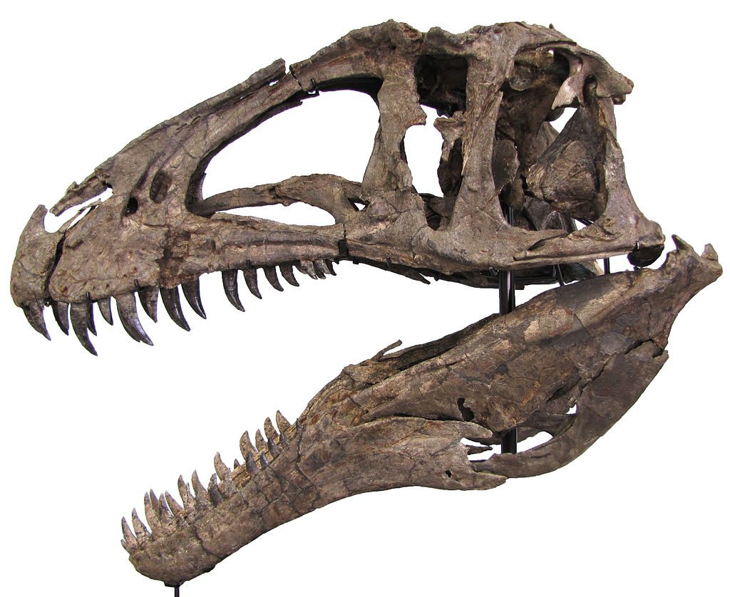 Prehistoric Beast of the Week: Acrocanthosaurus: Beast of the Week