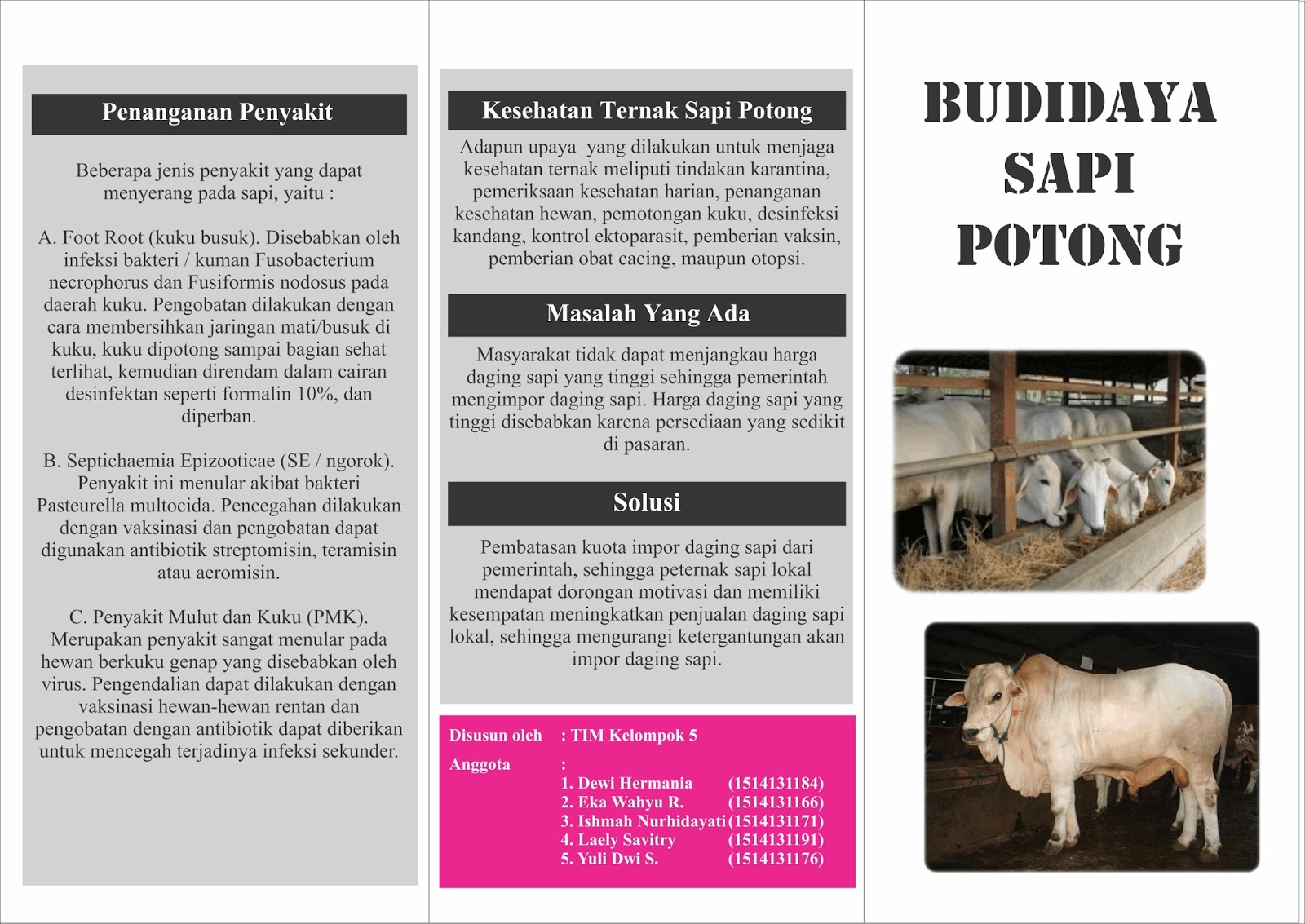 CONTOH LEAFLET, POSTER, DAN FOLDER ~ Buku Tugas