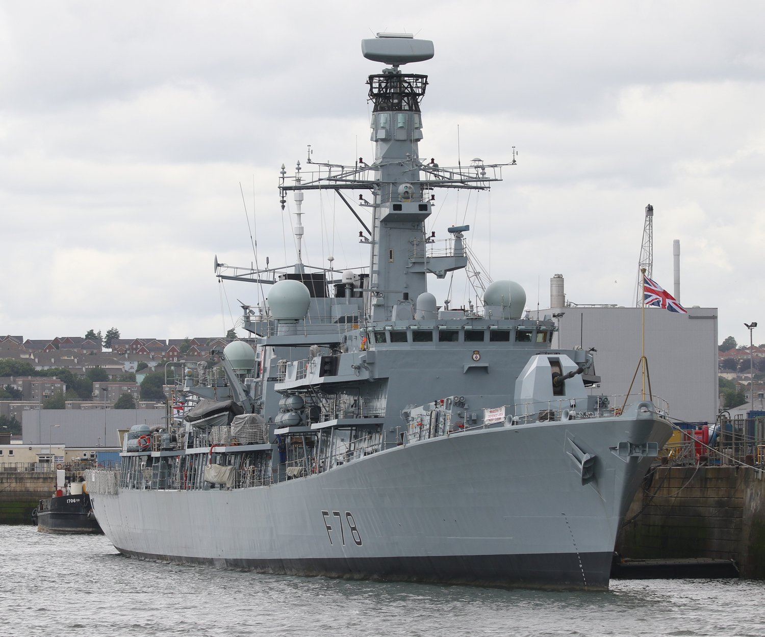 Birding Poole Harbour & Beyond: 15 Jun 18 - A Risso's In Plymouth