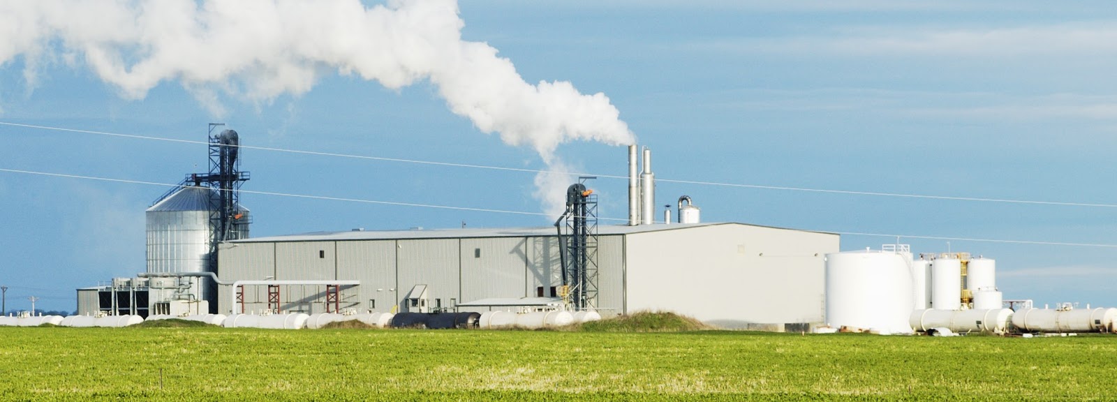 The Swanson Flo Blog: renewable energy