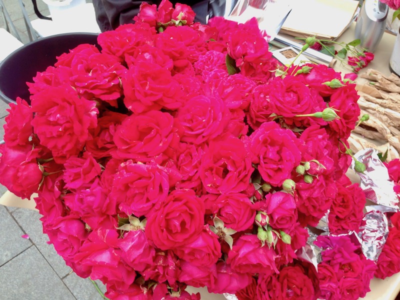 santa rita santa rita lo que se da no se quita: de maig 2018