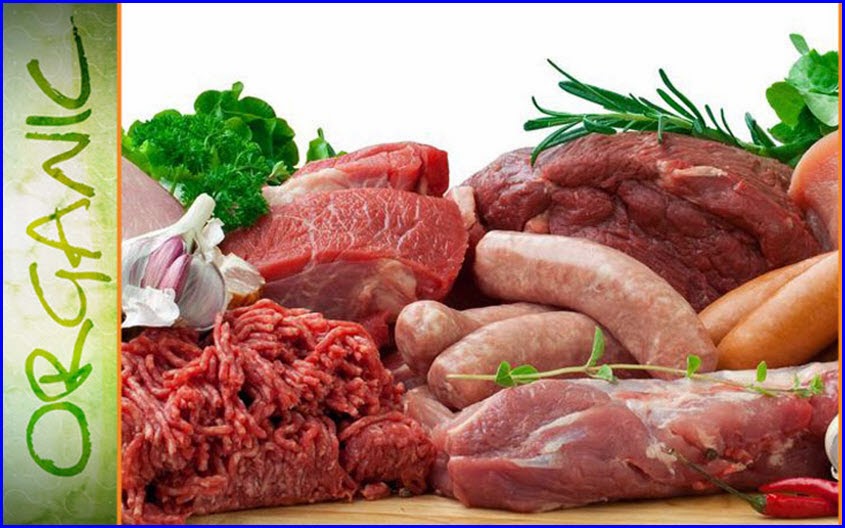 S T R A V A G A N Z A: THE FUTURE OF ORGANIC MEATS