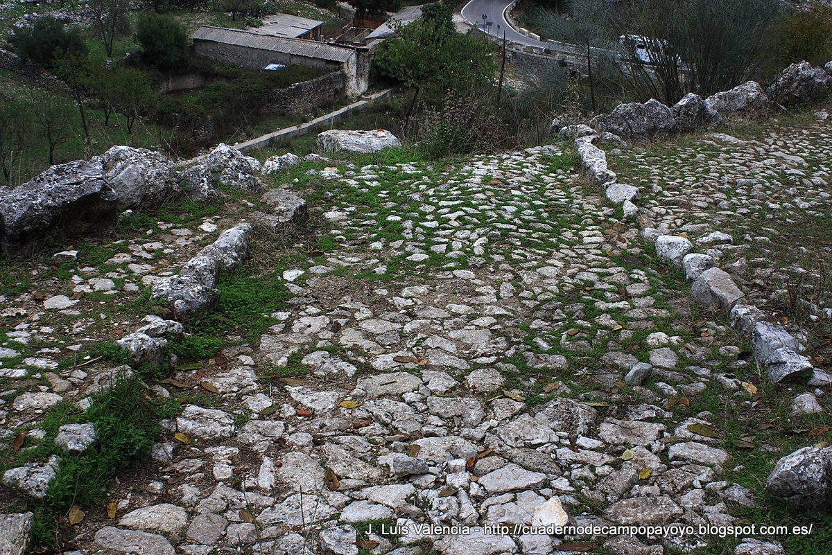 Cuaderno de Campo Payoyo: Calzada Medieval de Grazalema