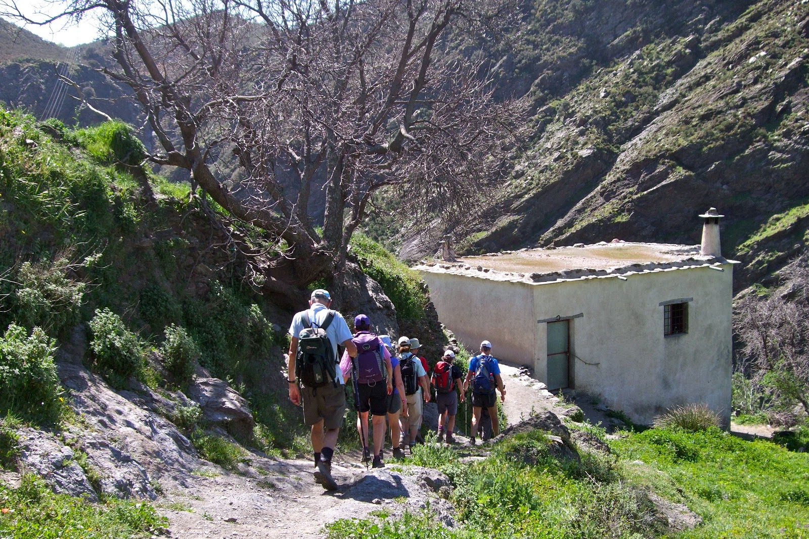News from Sierra Nevada Guides: The Best Path in the World! Spring ...