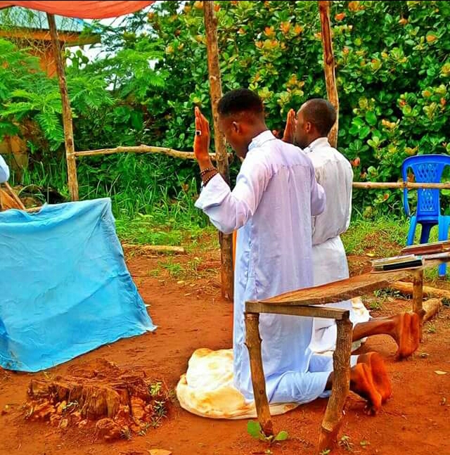 Celestial Church Blog: Provides Online News for Celestial Church of Christ