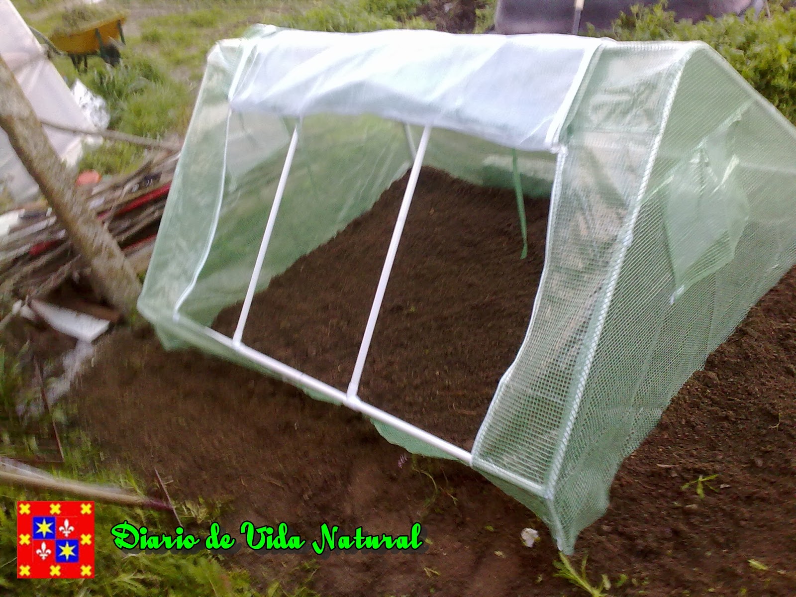 "Diário de Vida Natural": Mini estufa