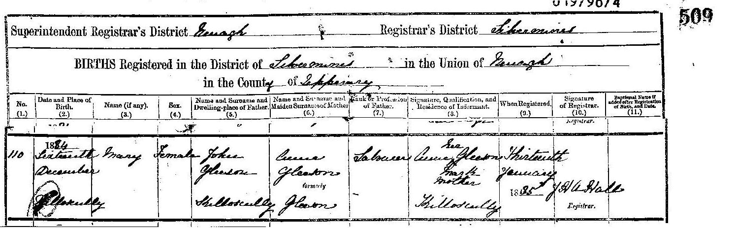 The Gleason / Gleeson DNA Project: MDKA Profile – John Gleeson 1832 ...