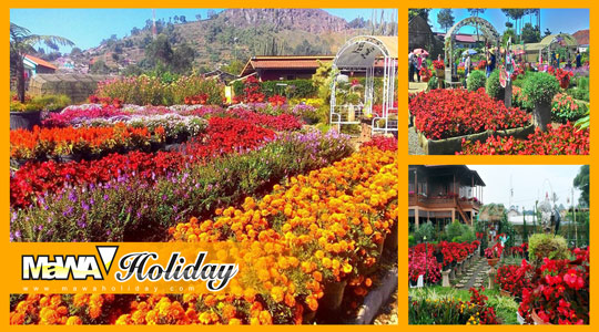 Taman Bunga Bandung - BEAUTIFUL GARDEN IN INDONESIA